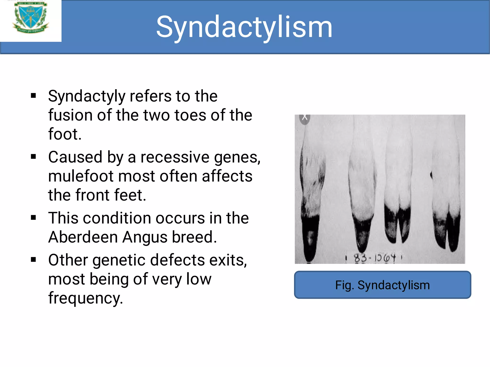Genetic disorders in cattle | PDF