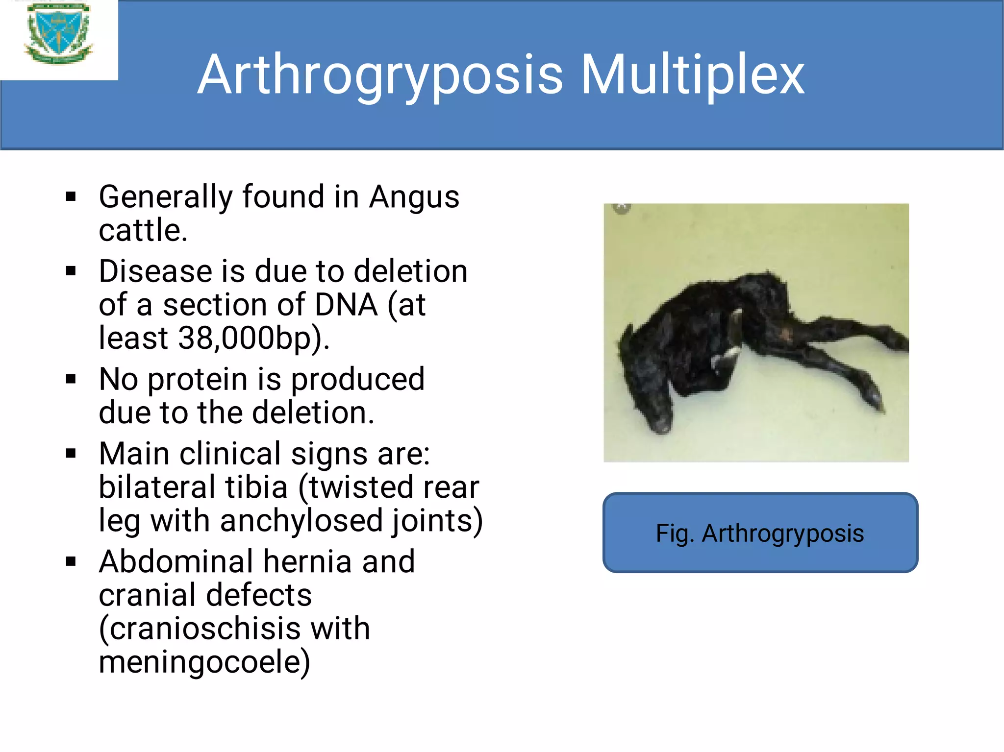 Genetic disorders in cattle | PDF
