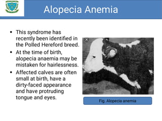Genetic disorders in cattle | PDF
