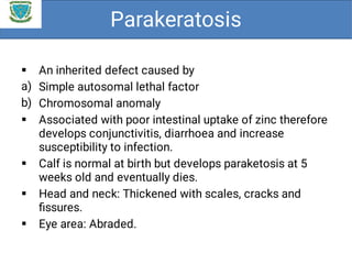Genetic disorders in cattle | PDF