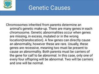 Genetic disorders in cattle | PDF