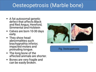 Animal Genetic Disorders