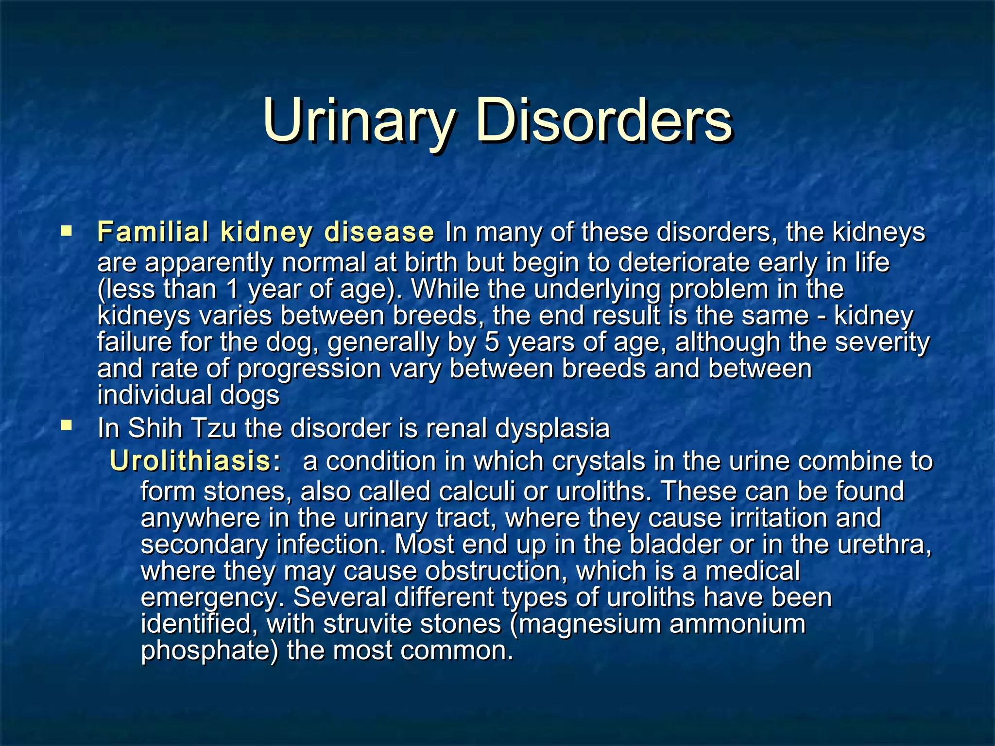 Genetic Disorders Lhasa Apso | PPT