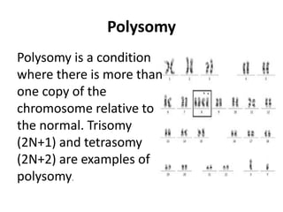 Genetic Disorders ppt.pptx