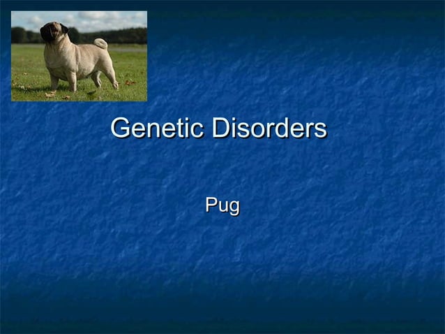 Genetic Disorders Pug | PPT
