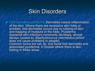 Genetic Disorders Pug | PPT