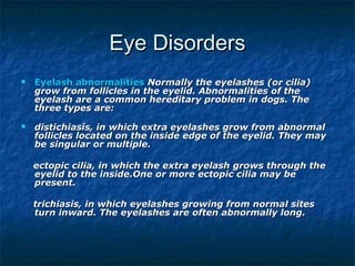 Genetic Disorders Pug | PPT