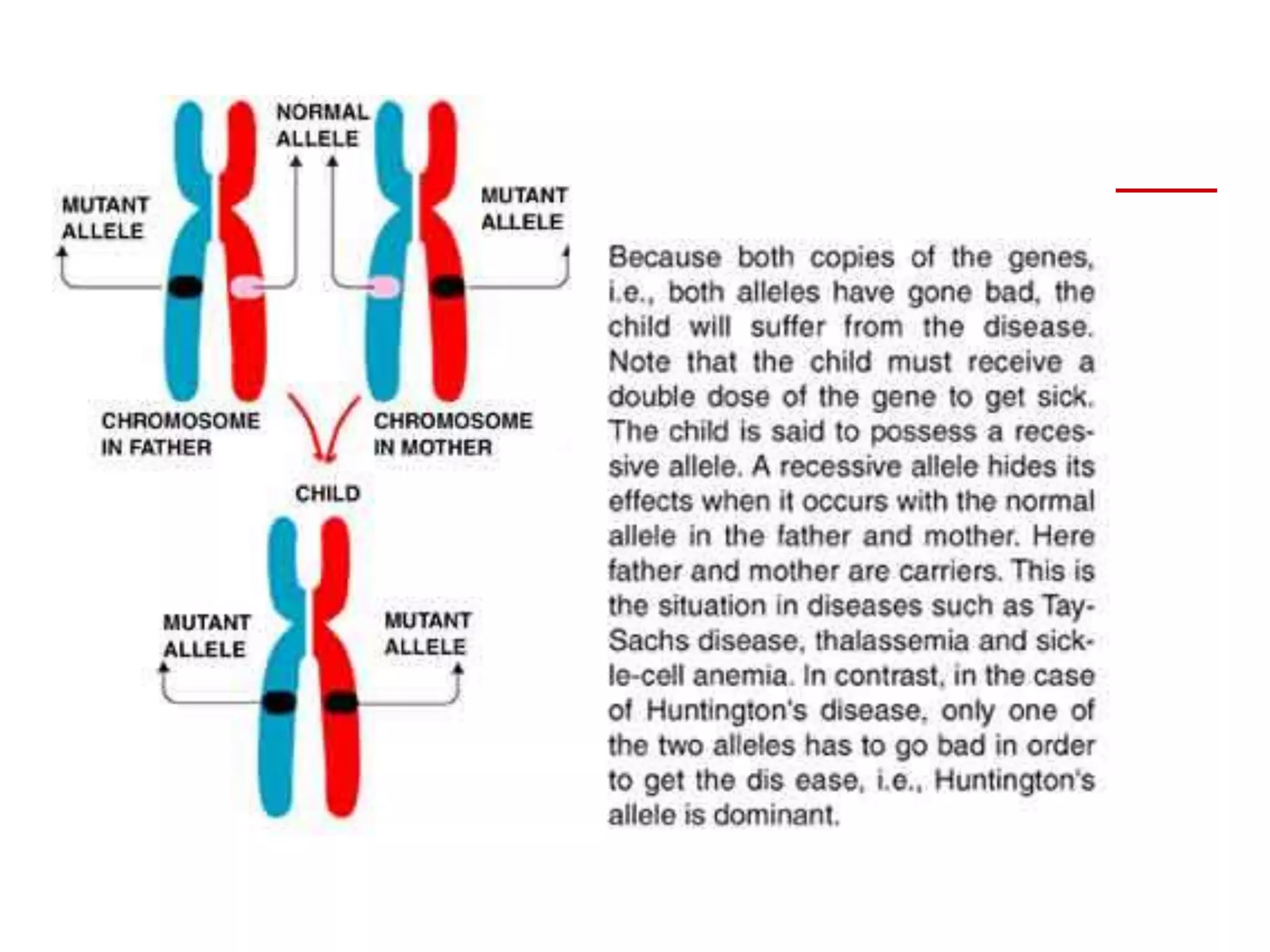Genetic Disorders.ppt