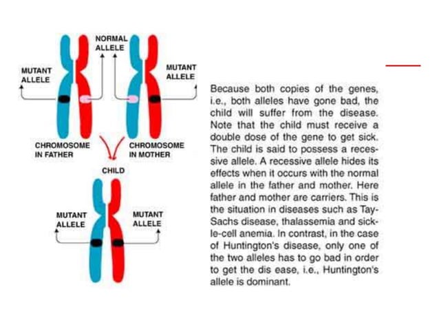 Genetic Disorders.ppt