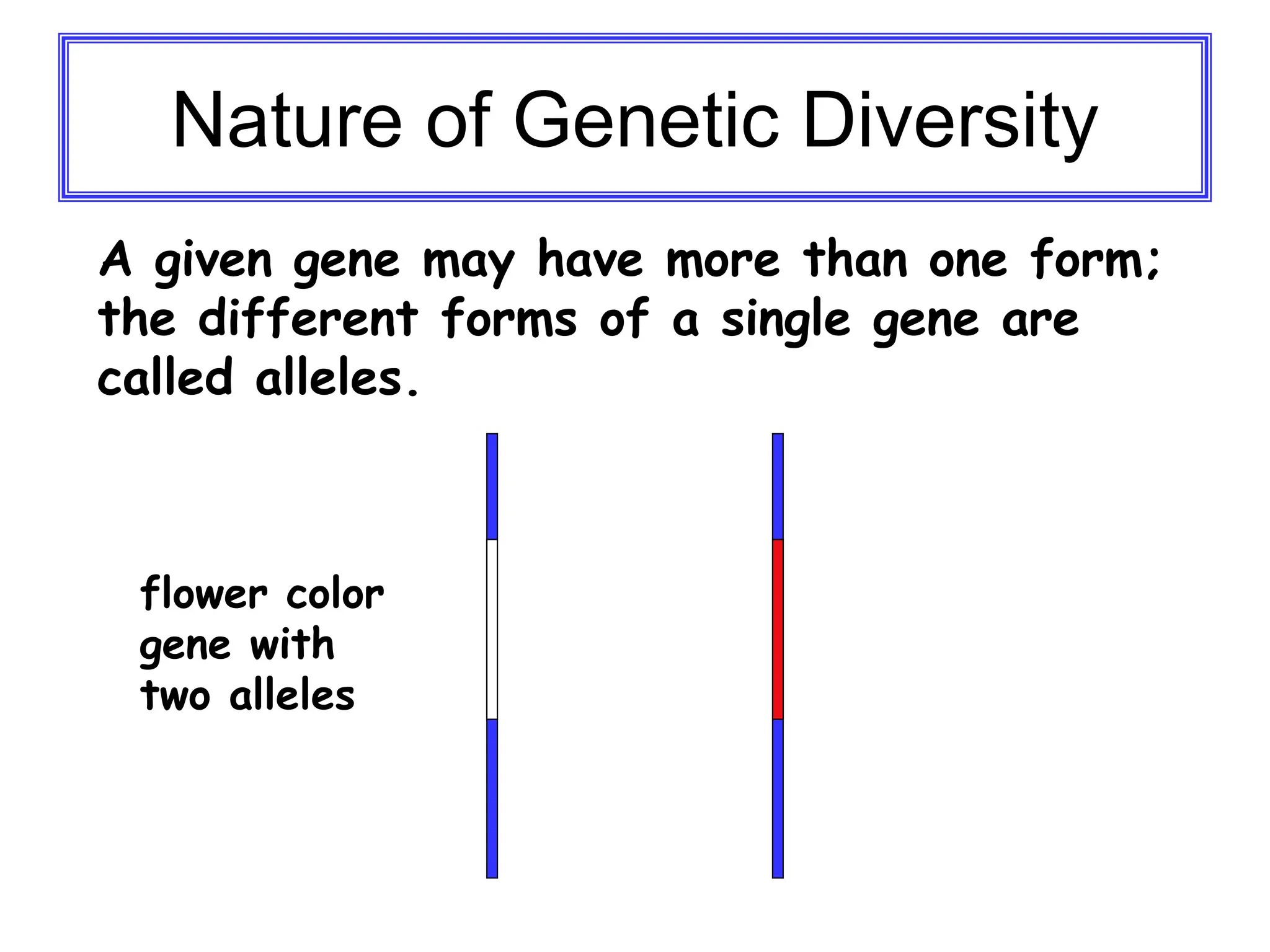 Genetic Diversity.ppt