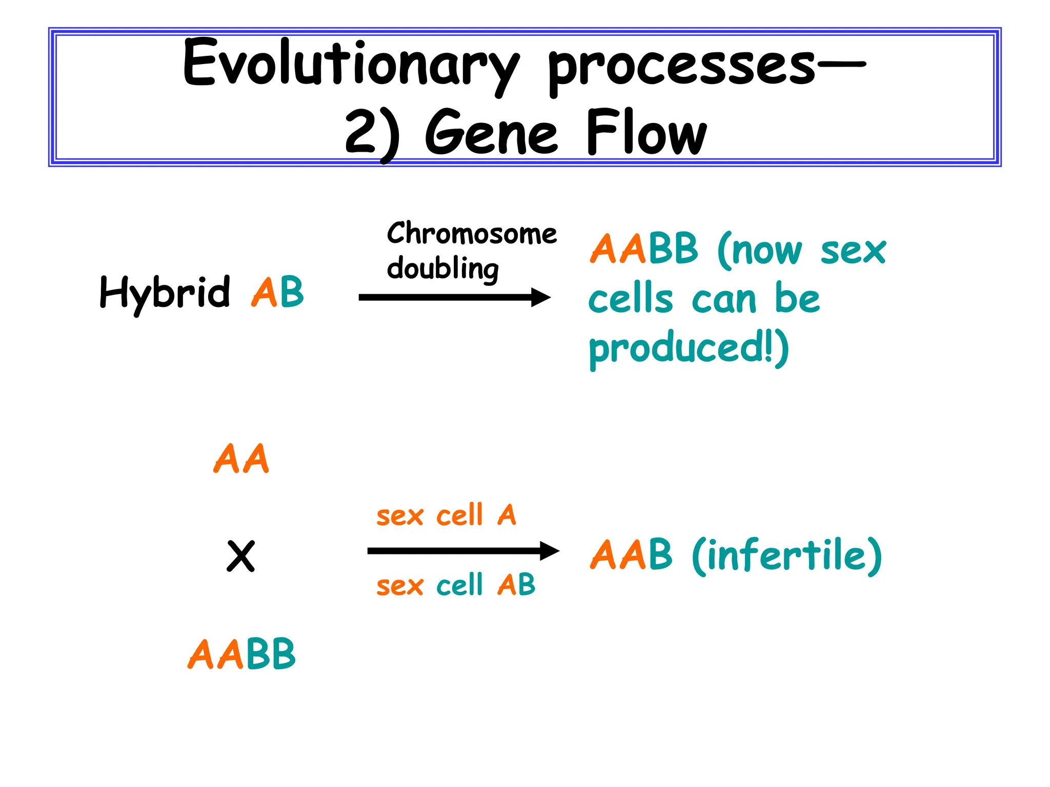 Genetic Diversity.ppt