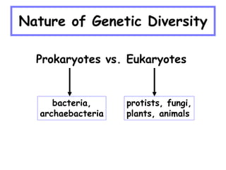 Genetic Diversity.ppt
