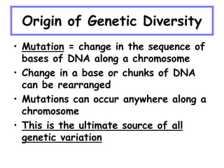 Genetic Diversity.ppt