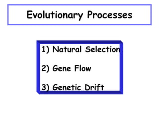 Genetic Diversity.ppt