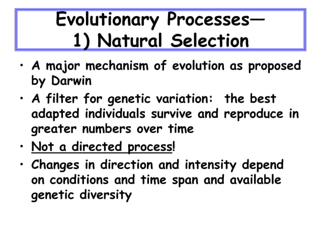 Genetic Diversity.ppt