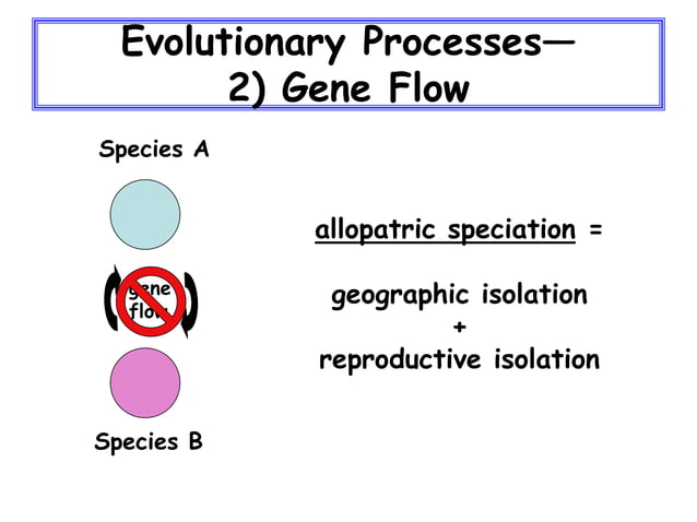 Genetic Diversity.ppt