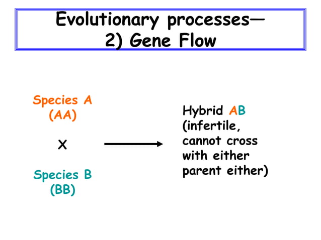 Genetic Diversity.ppt