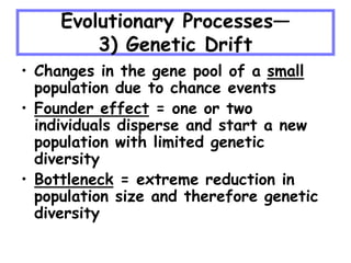 Genetic Diversity.ppt