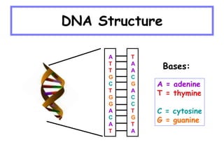 Genetic Diversity.ppt
