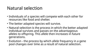 genetic diversity As biology content ppt | PPT