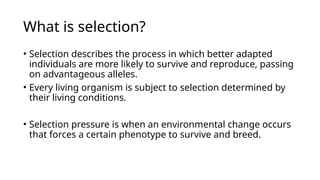 genetic diversity As biology content ppt | PPT