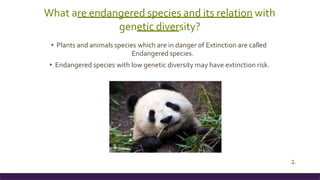 geneticdiversityinendangeredorganisms-200312211120.pptx