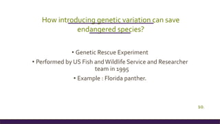 Genetic diversity in endangered organisms | PPTX
