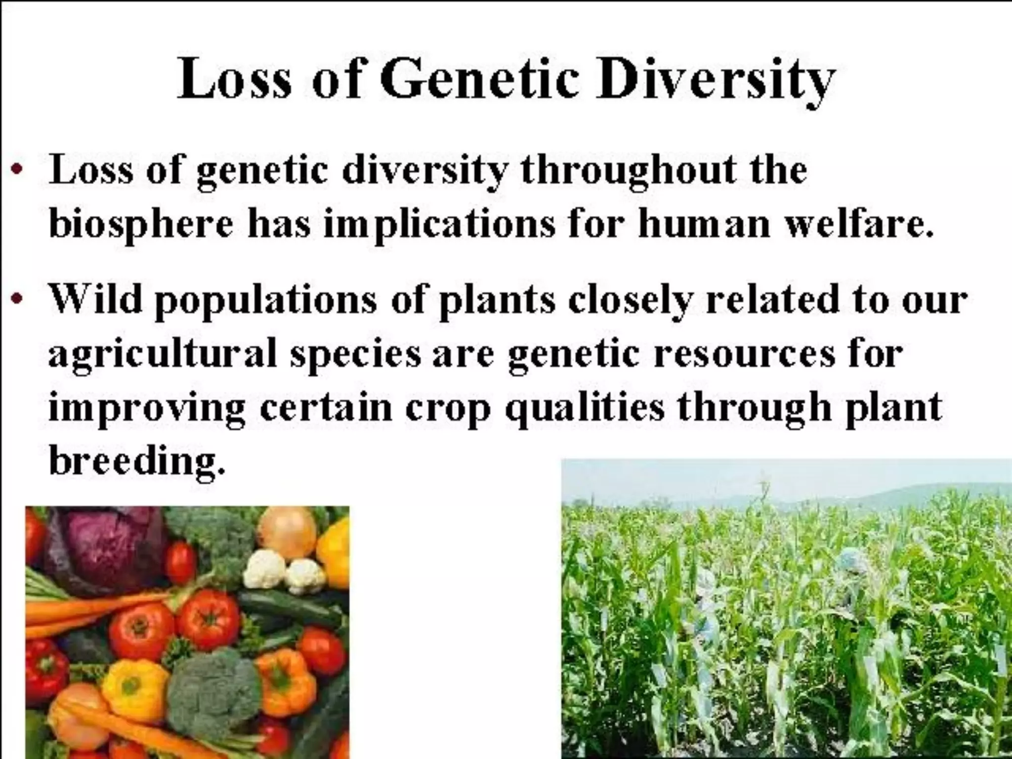Genetic diversity lecture notes | PDF