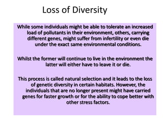 Genetic diversity lecture notes | PDF