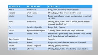 Genetic diversity of breadfruit | PPTX