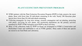 Genetic diversity of breadfruit | PPTX