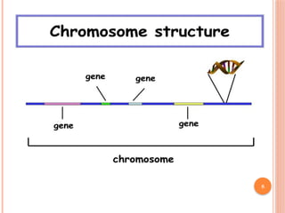 "Genetic Diversity: A Key to Species Survival and Ecosystem Resilience ...