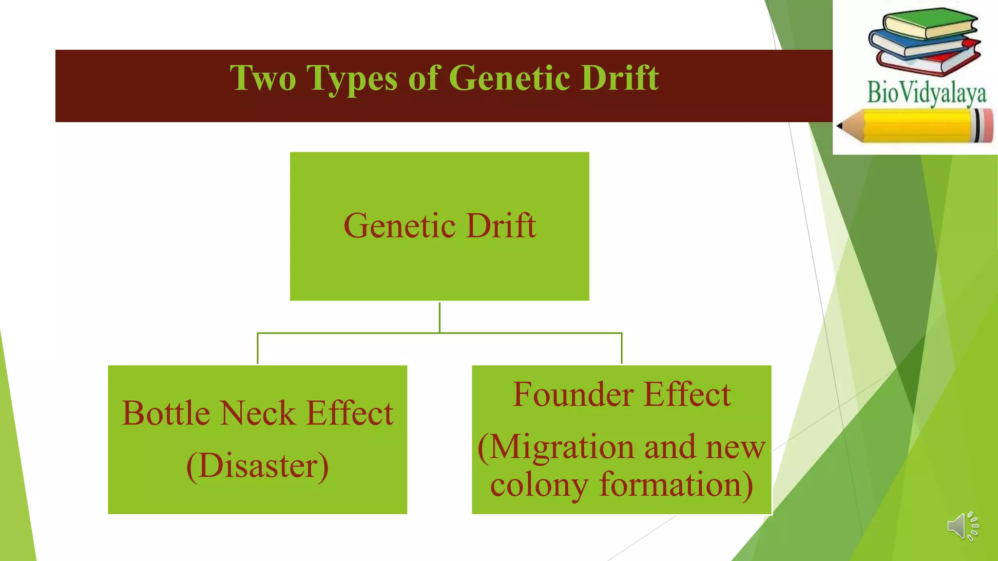 Genetic drift | PPTX