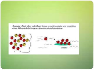 Genetic Drift Examples