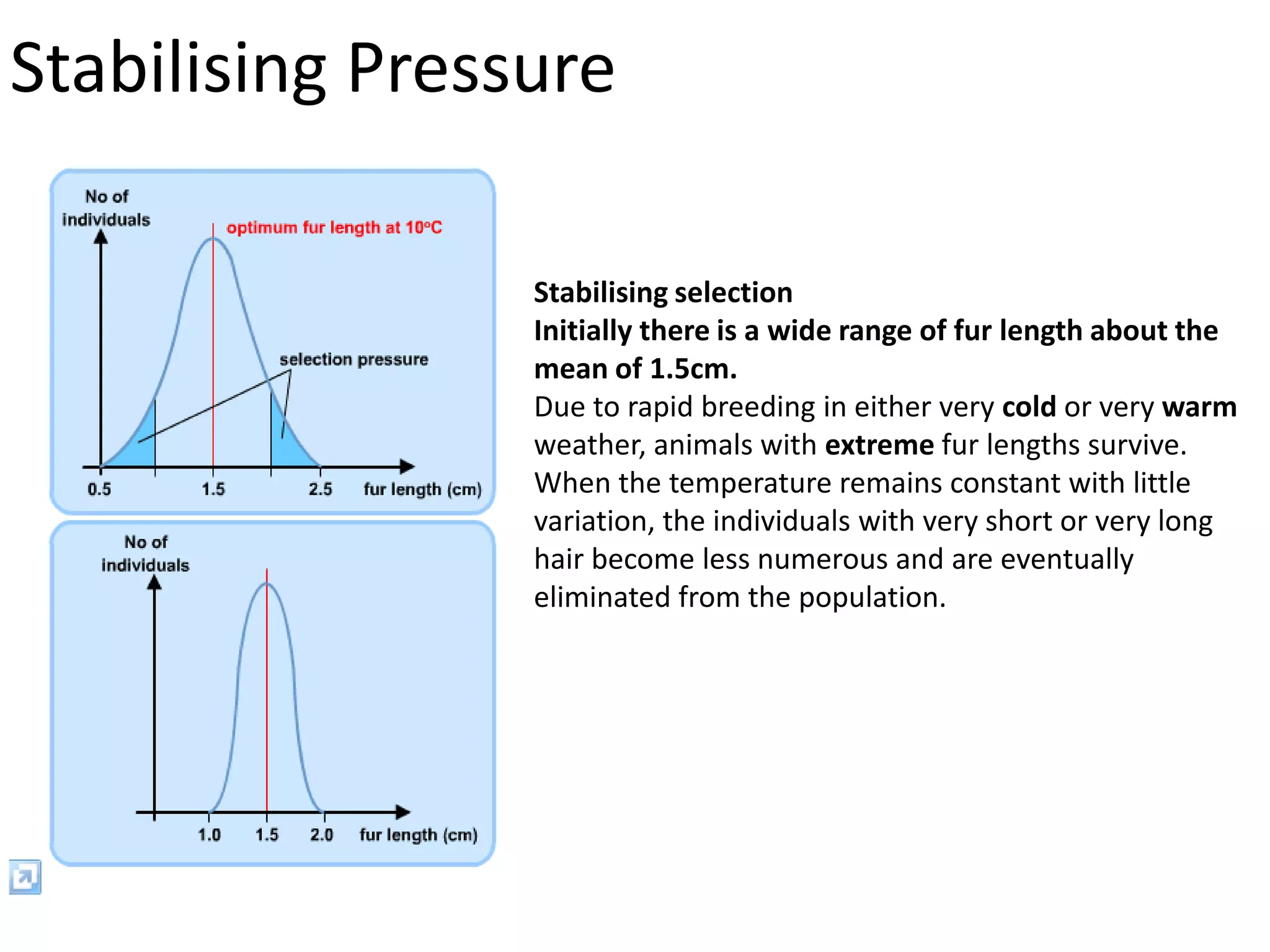 Genetic drift of iow | PPTX