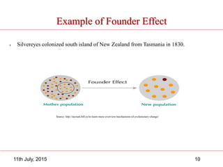 Founder Effect