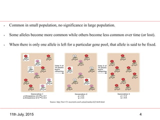 Genetic Drift Diagram