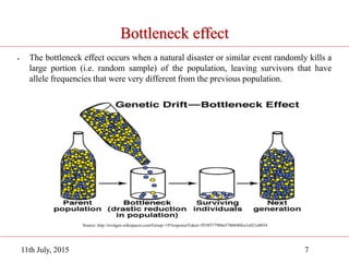 Bottleneck Effect And Founder Effect