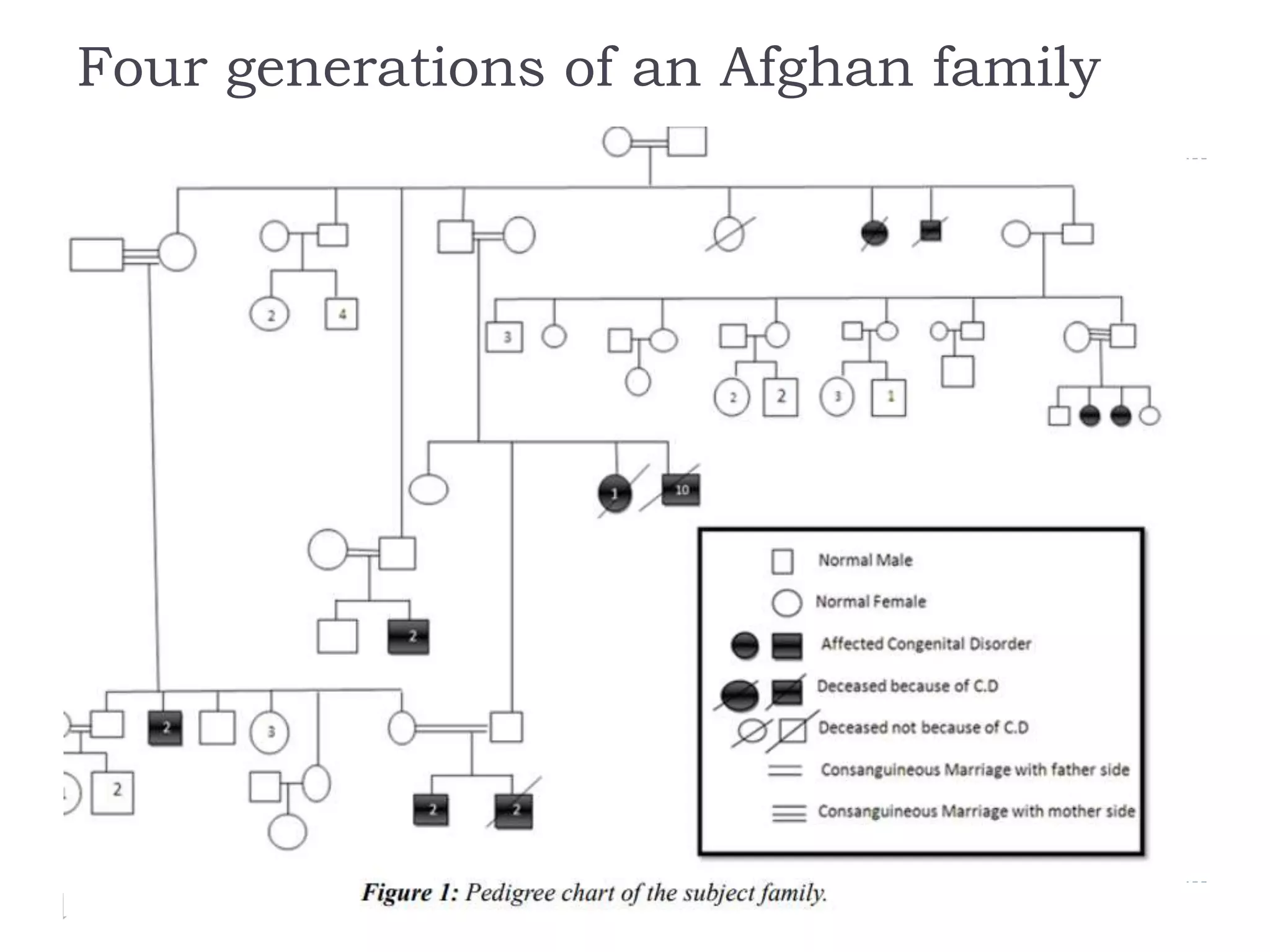 Genetic effects of consanguineous marriage | PPTX