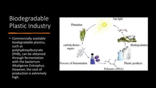 Genetic Engineering.pptx