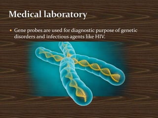 Genetic engenirying | PPT