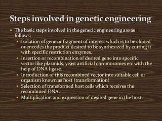Genetic engenirying | PPTX