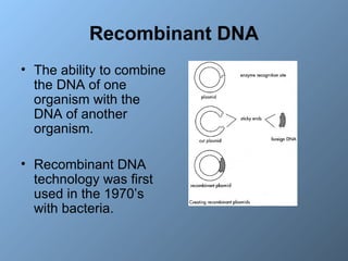 Genetic Engineering | PPT