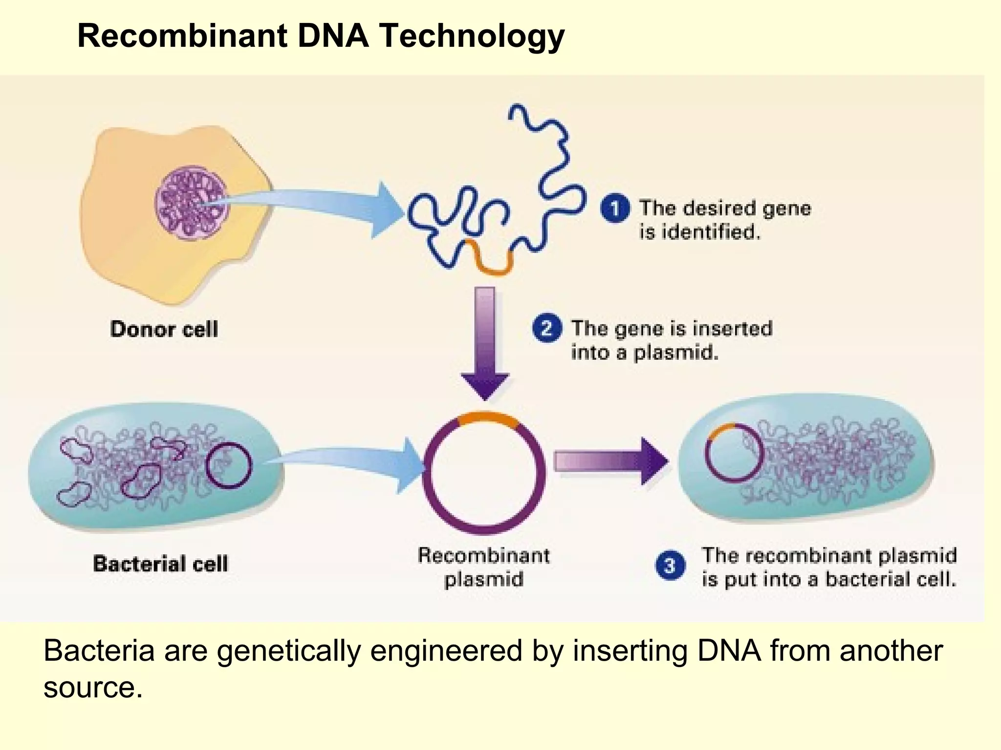 Genetic Engineering | PPT