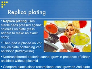 Genetic engineering | PPT