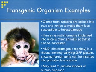 Genetic engineering | PPT