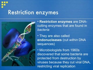 Genetic engineering | PPT