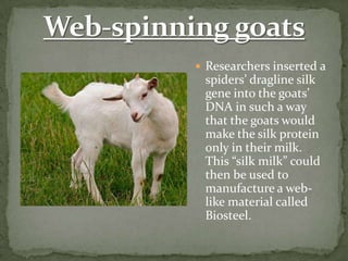 Introduction to Genetic Engineering | PPTX