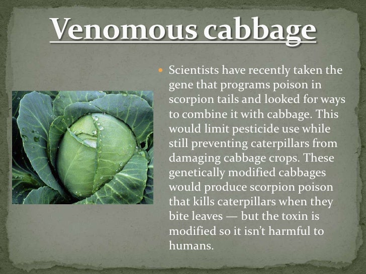 Introduction to Genetic Engineering