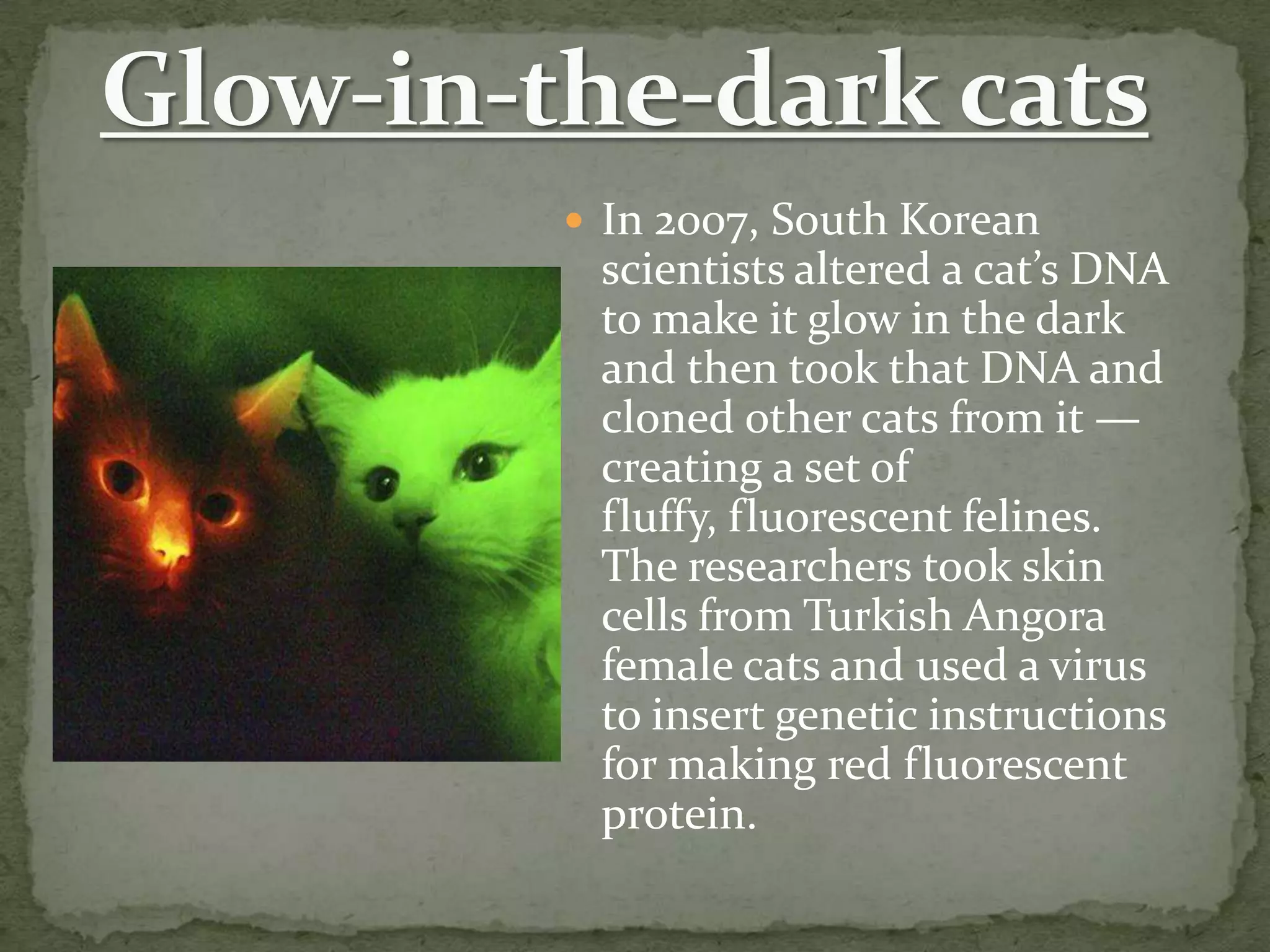 Genetic engineering | PPTX